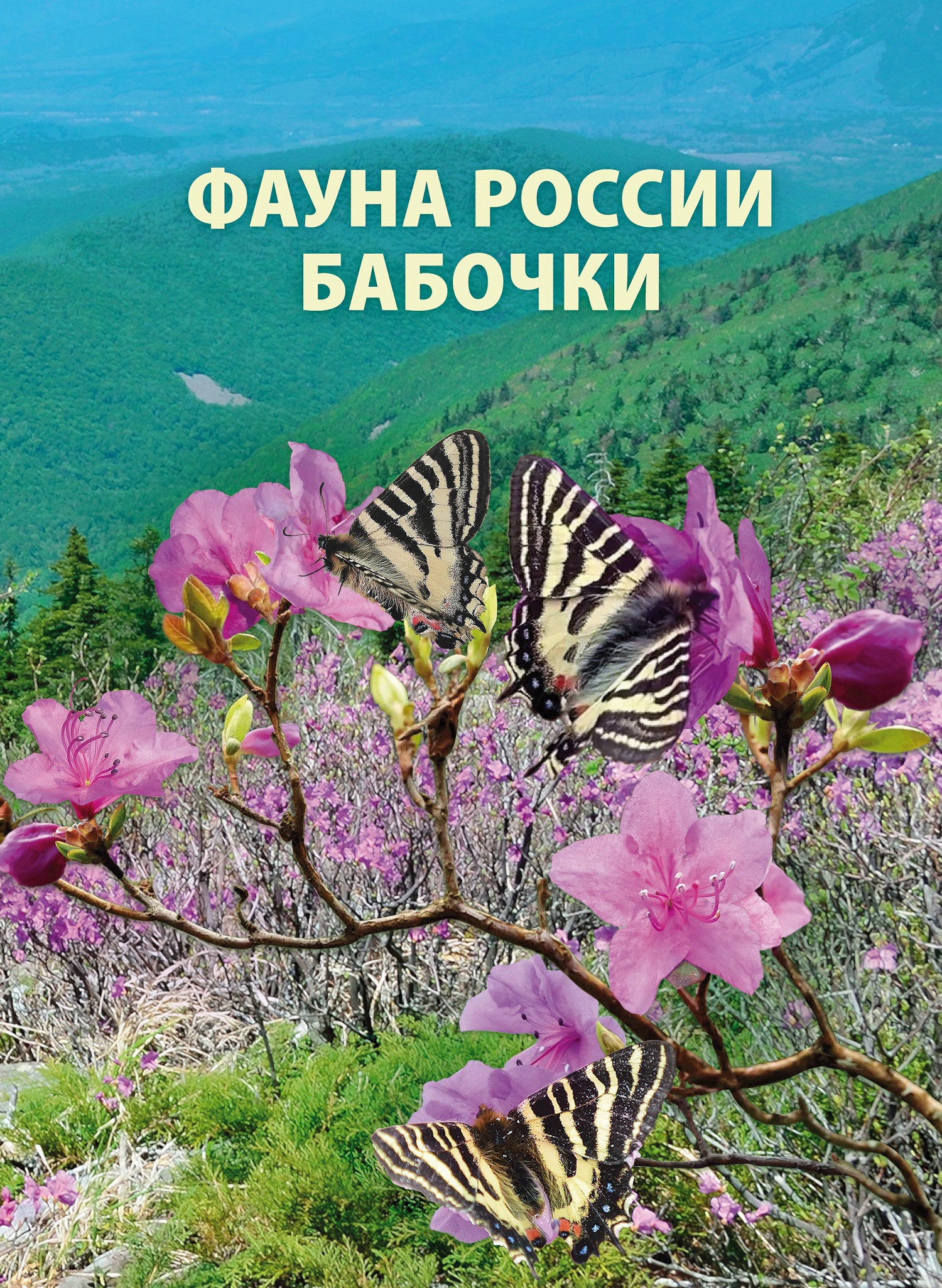 Souvenir pack in cover “Fauna of Russia. Butterflies”